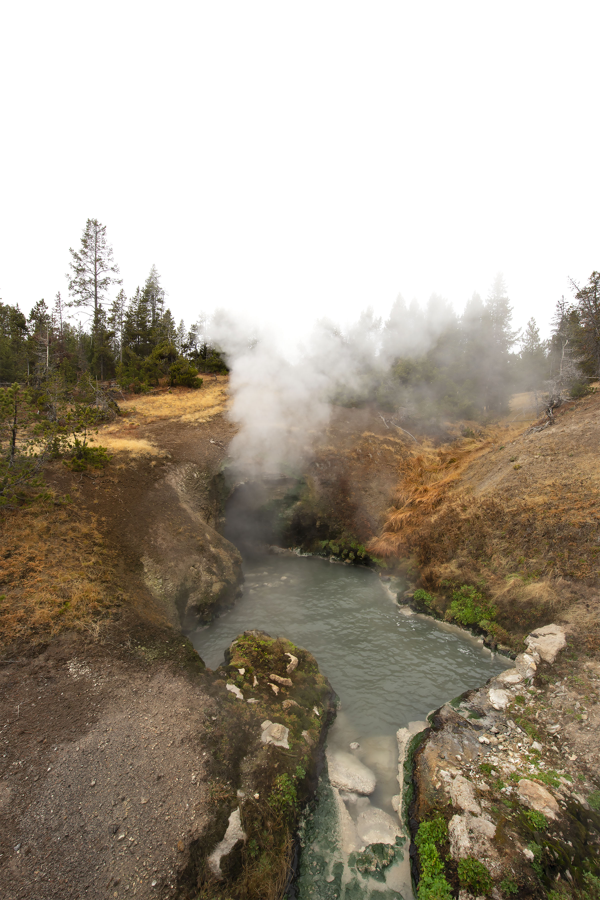 Boil…boil – nature has no boss